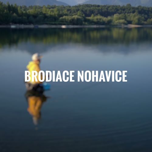 Odev :: www.starfish.sk